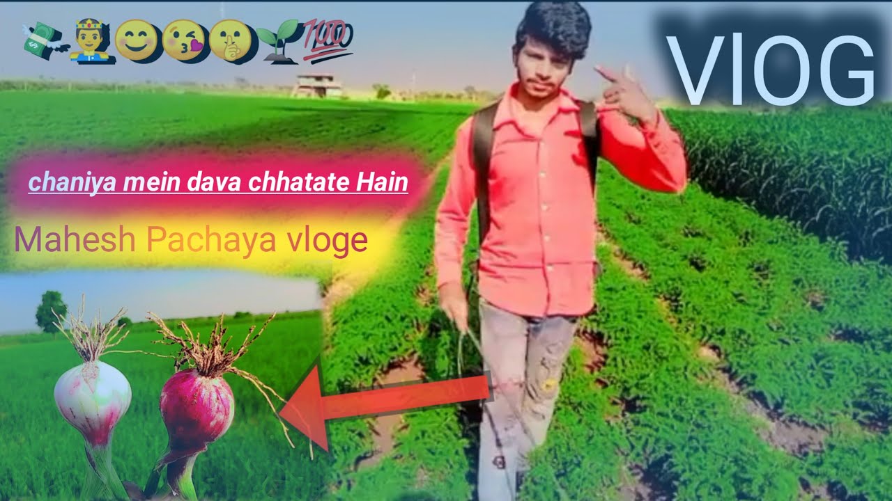 Sania mein dava 💊 chhati khetiwadi vlog pyaj ke khet mein chane aaya ...