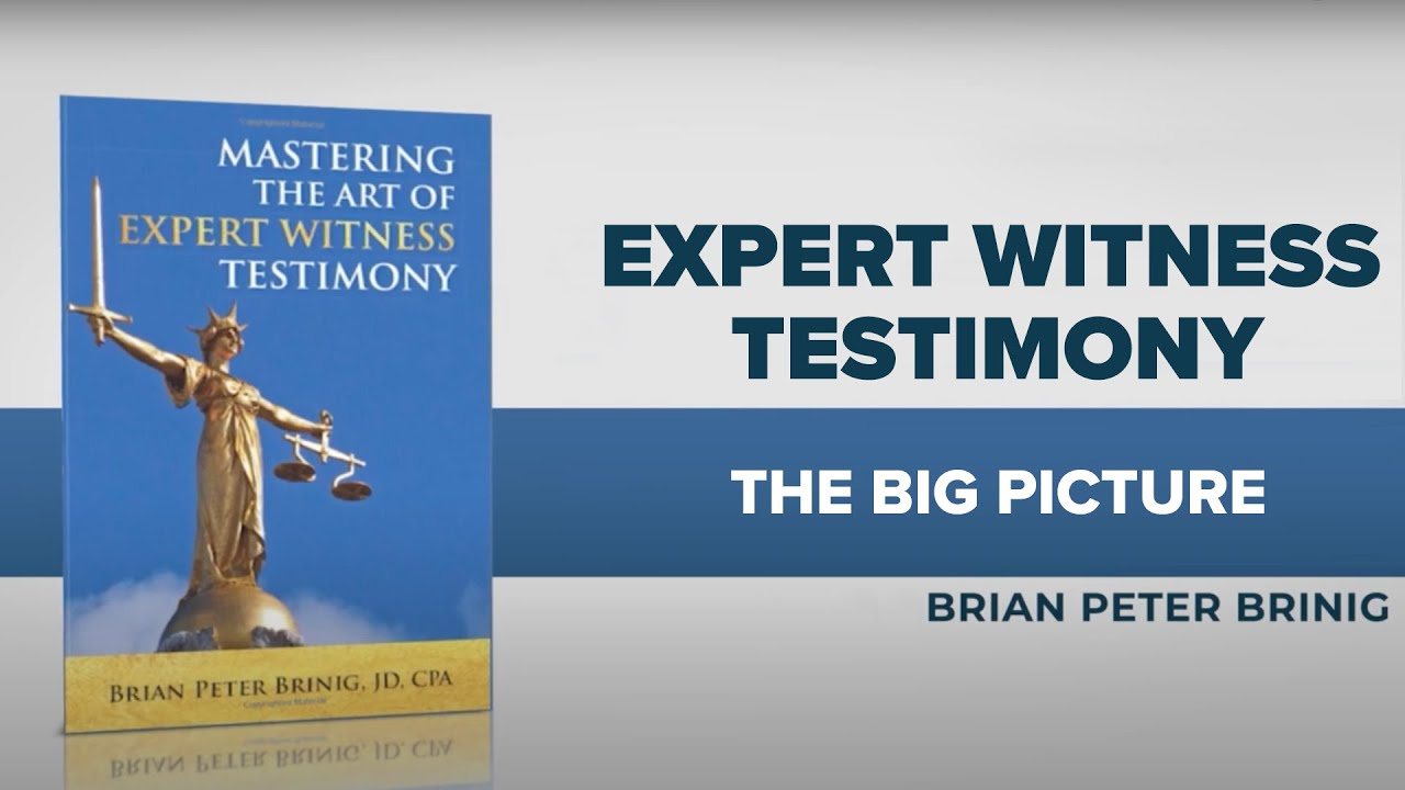 The Big Picture of Expert Witness Testimony #experttestimony # ...