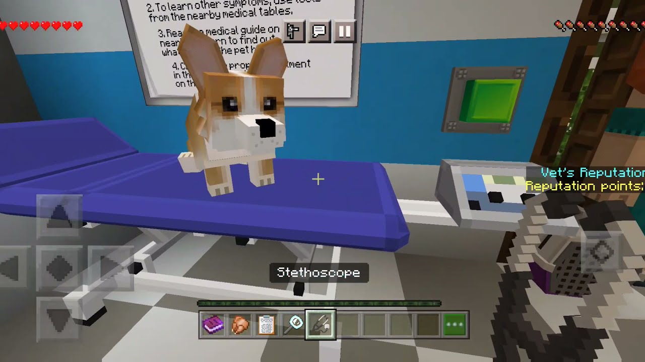 Working as a VET in Minecraft PE - YouTube