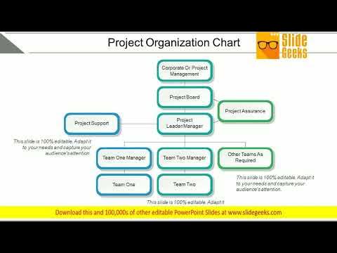 Project Organization Chart Ppt Powerpoint Presentation Summary Elements ...