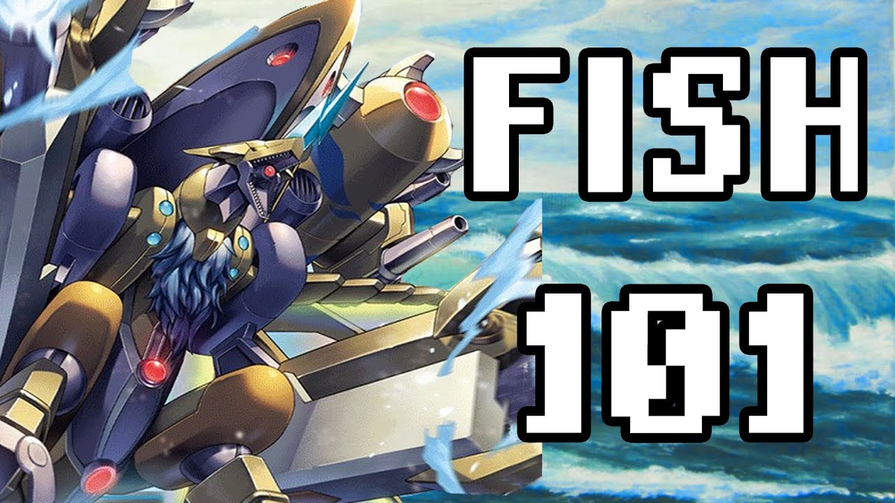 Aegisdramon/Fish 101: A Beginner's Guide To Drowning At Locals - YouTube