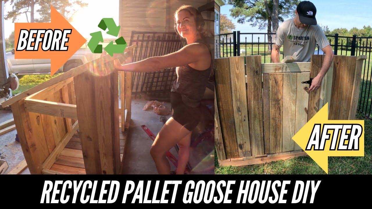 DIY Goose Shelter from Pallets | Budget-Friendly Homestead Build - YouTube