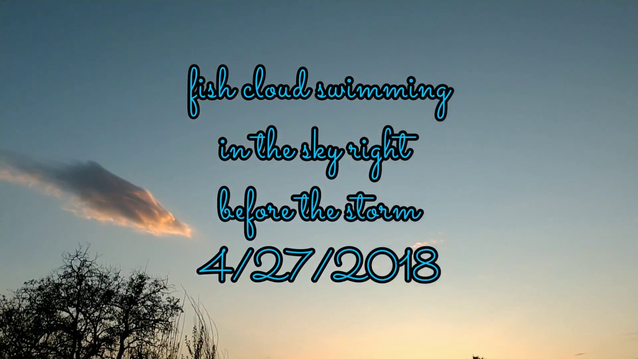 Fish cloud swimming in the sky right before the storm - YouTube