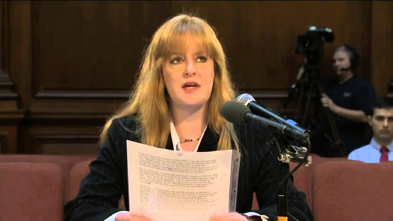 Amanda Williams Testimony EPA Aircraft Pollution Hearing August 11th ...