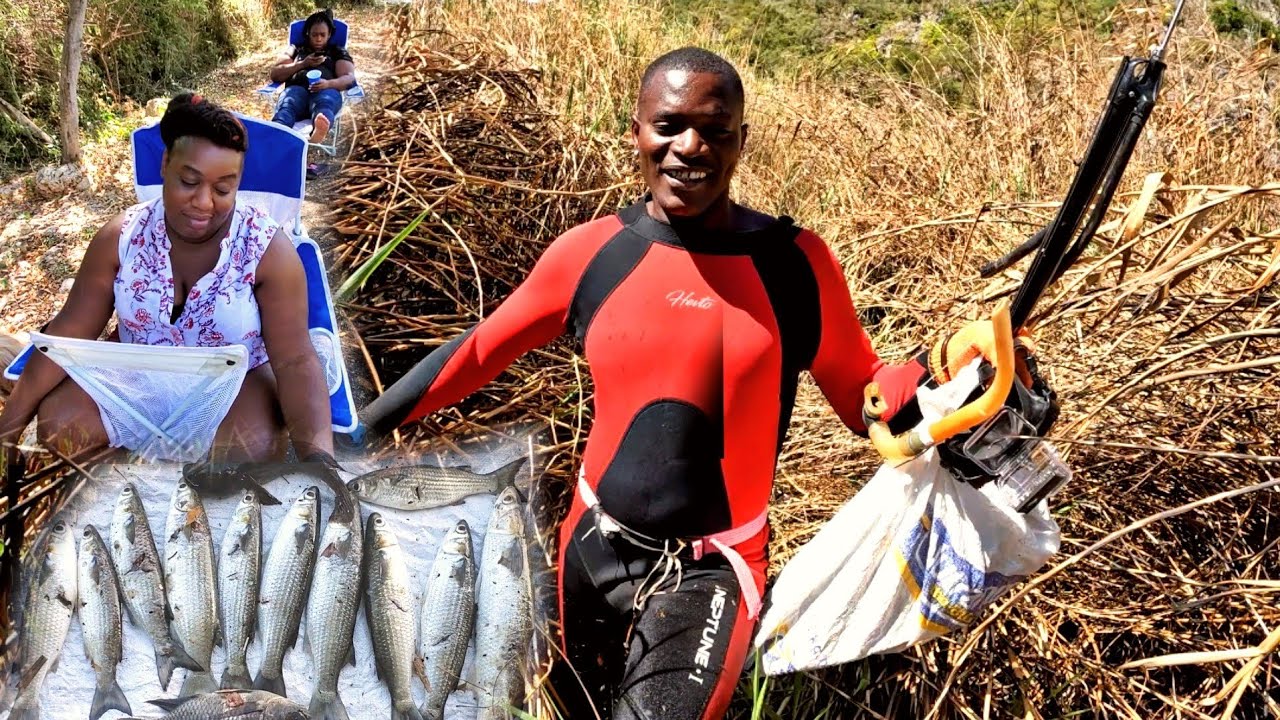hunting some of the fastest mullet in the river - YouTube