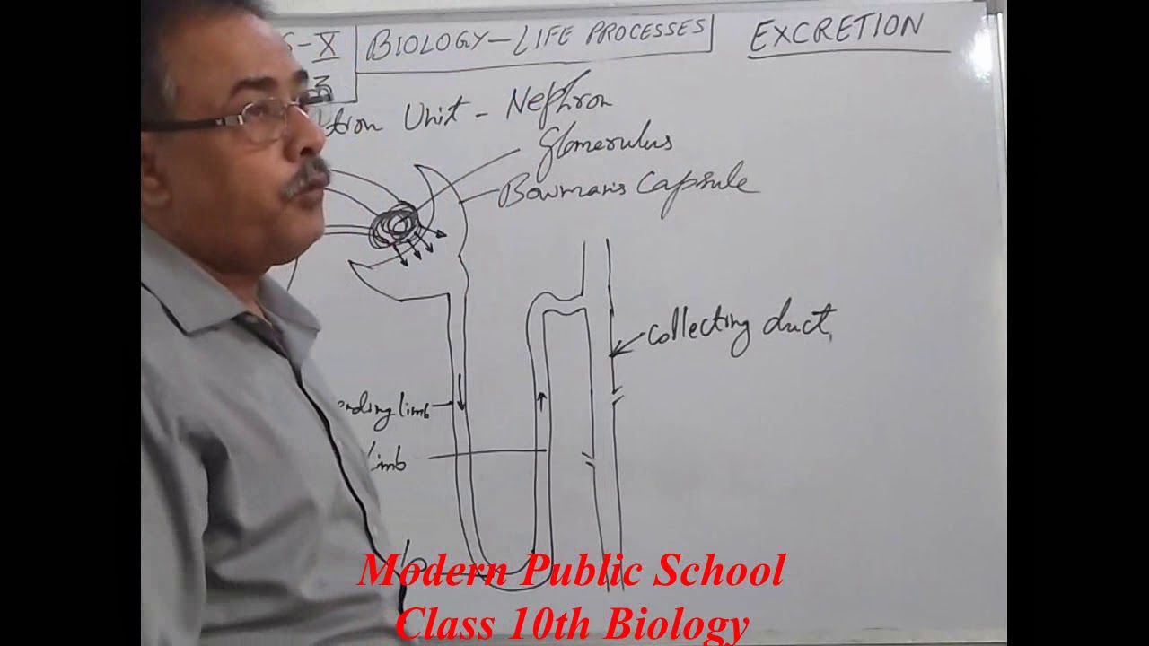 Lecture 04052020 Class 10 Science Biology YouTube lecture-04052020-class-10-science-biology-youtube