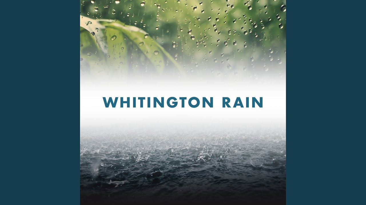 Great Burrow Wood - YouTube