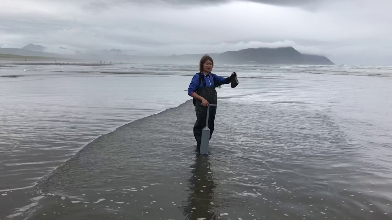 Ep. #1 - Oregon Razor Clams - YouTube