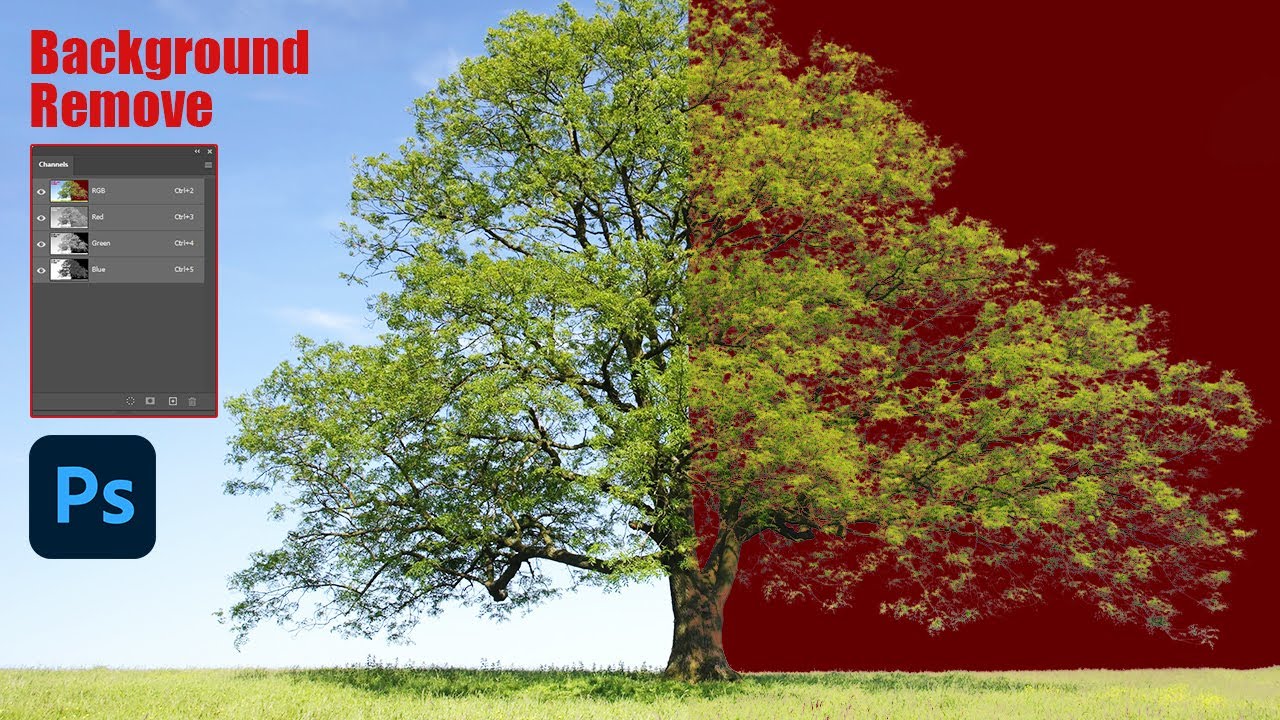 Remove Trees Background in Photoshop | Photoshop live project - YouTube