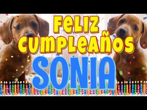 ¡Feliz Cumpleaños Sonia! (Perros hablando gracioso) ¡Muchas Felicidades ...