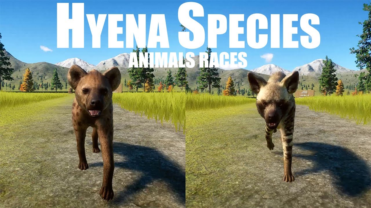 Hyena Species Speed Races in Planet Zoo included Striped Hyena and ...