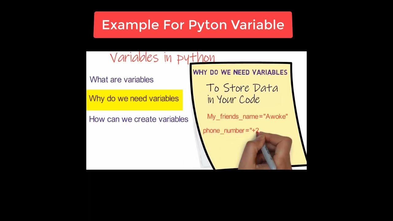 Examples For Python Variable Shorts Learntocode Youtube