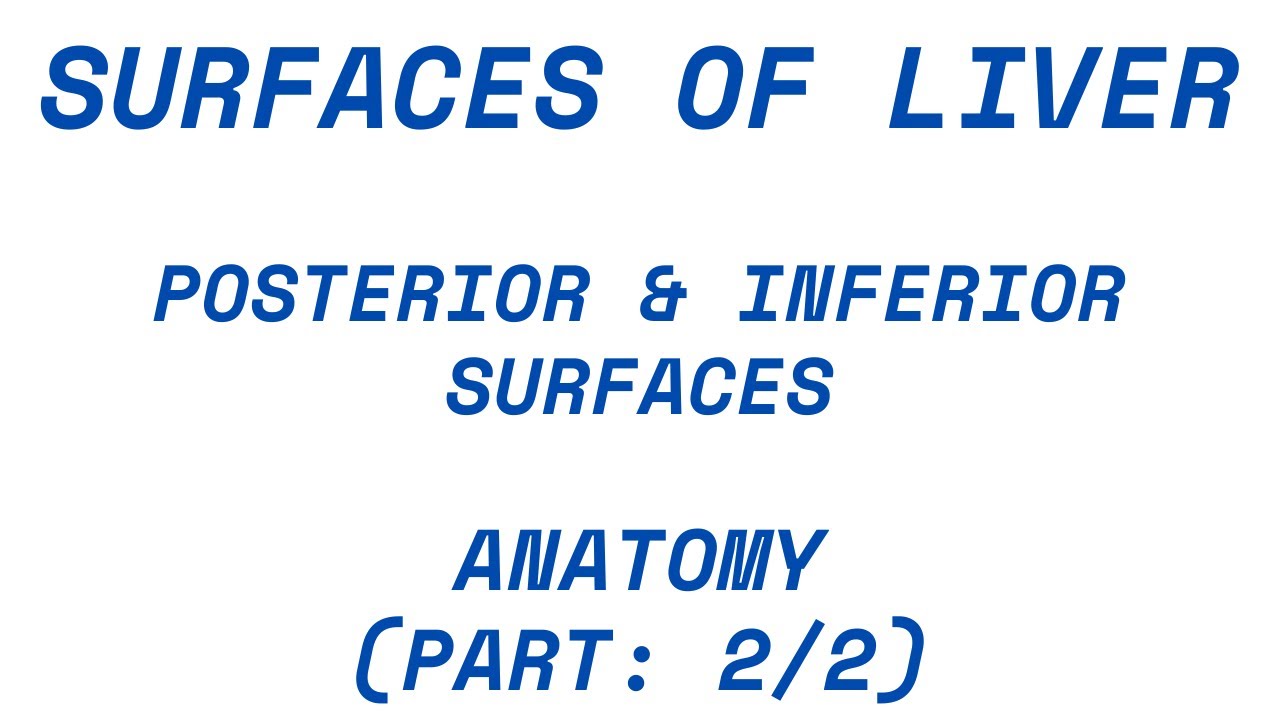 Surfaces of Liver : Posterior and Inferior Surface (Part: 2/2) - YouTube