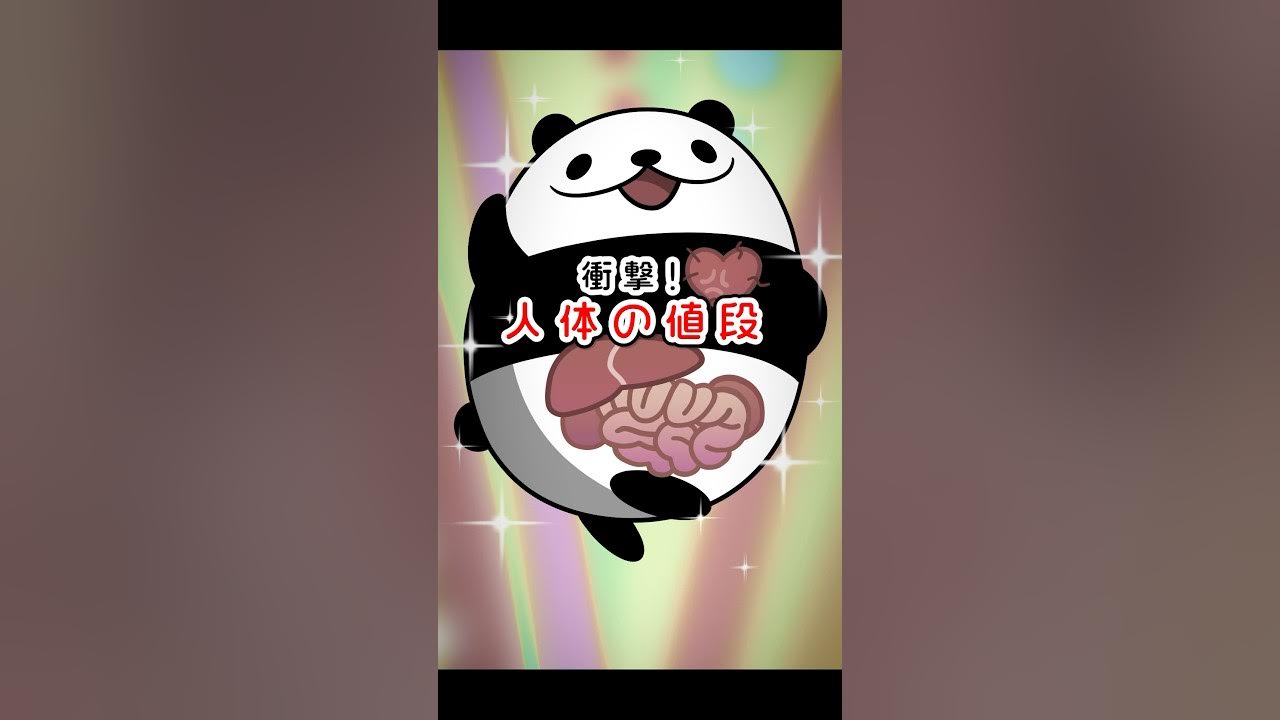 【〇億円】衝撃!人体の値段 テイペン Plottアニメ Youtube