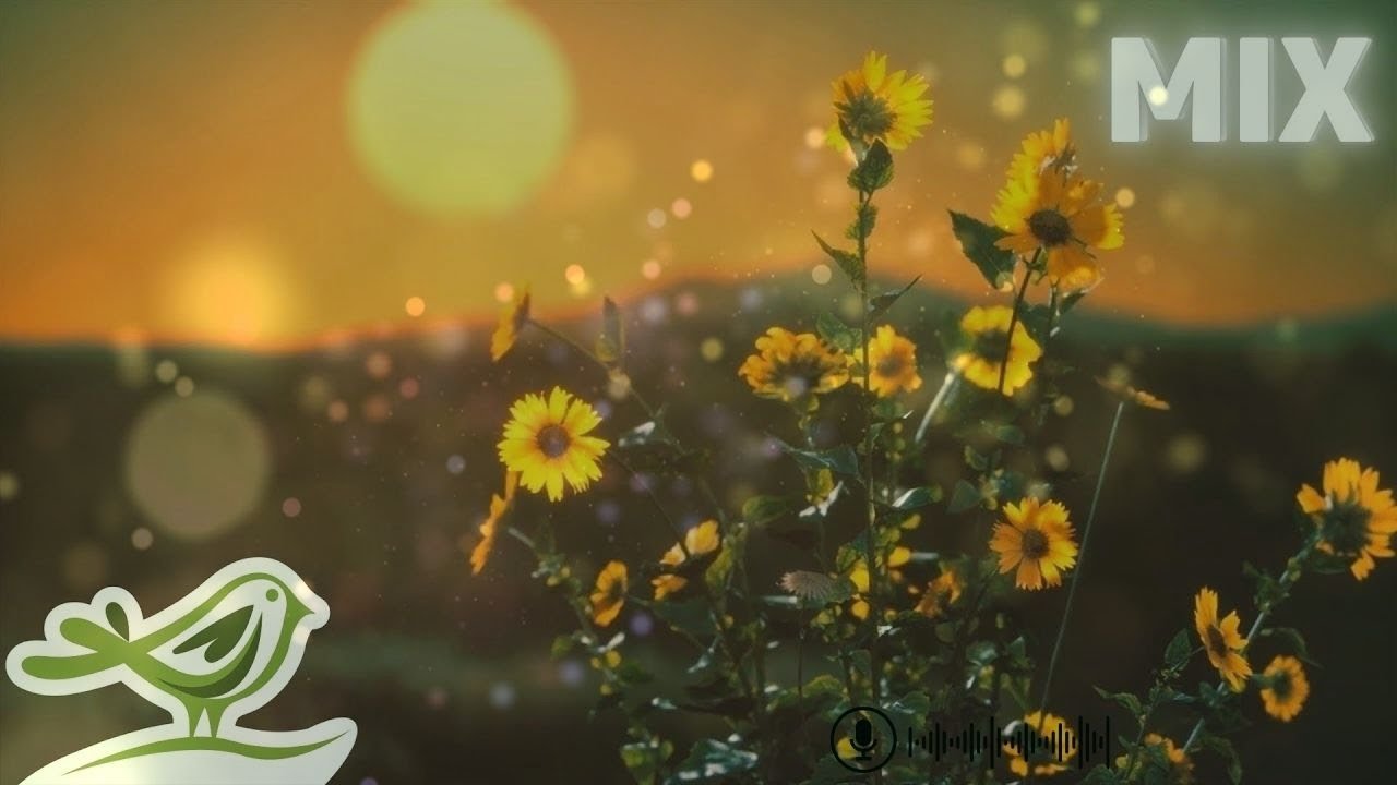 19 Beautiful Music Tracks by Peder B. Helland #relaxingmusic # ...