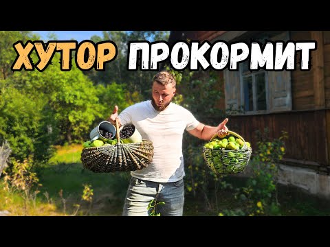 В ЛЕСУ в ОКРУЖЕНИИ ВРАГОВ😱! ХУТОР прокормит, но нужно потрудиться!