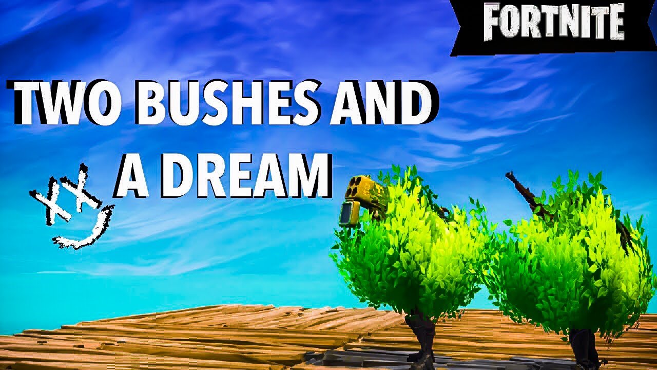 TWO BUSHES ONE GOAL - Sniper Shoot out (Fortnite Battle Royale) - YouTube