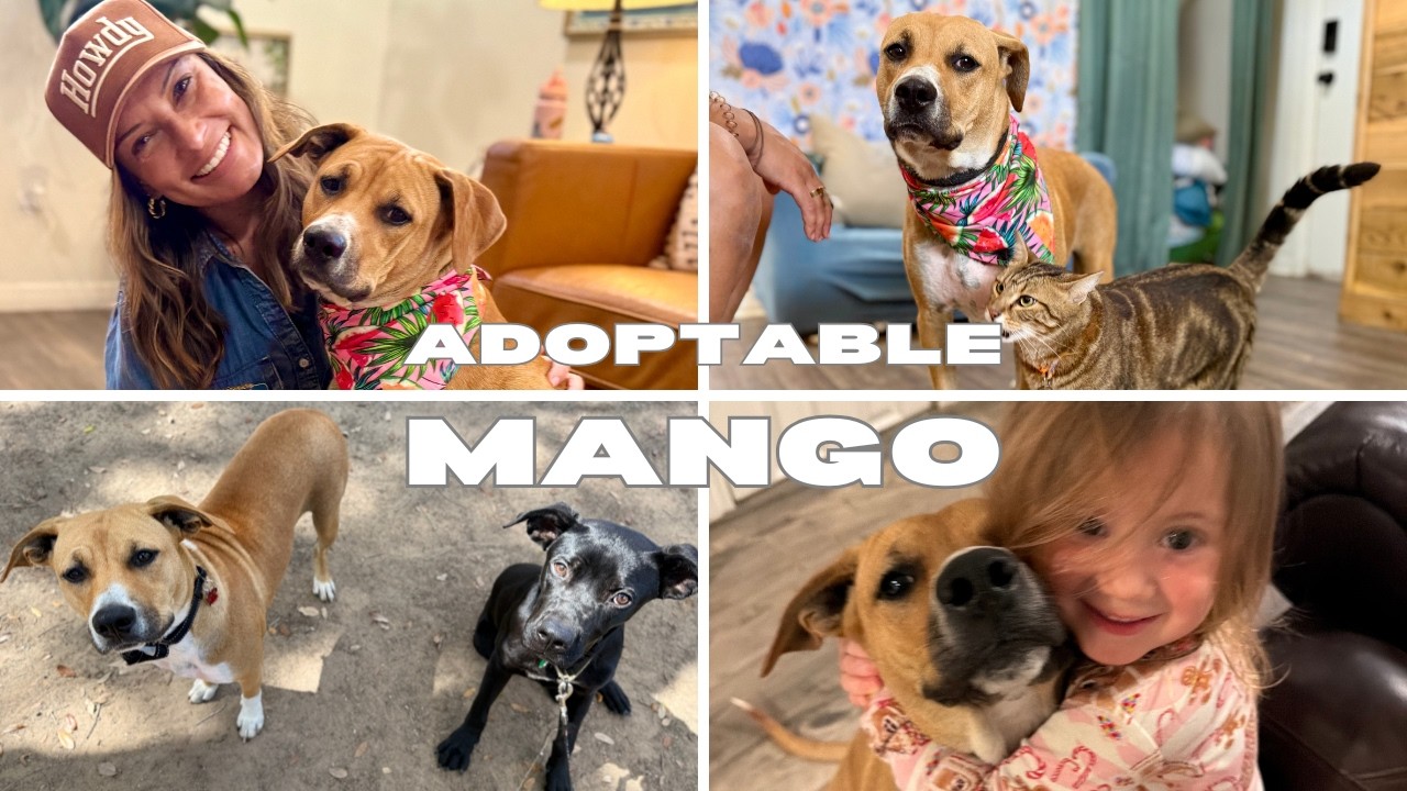 Mango Katie | thoughtful, loyal, sweetheart - YouTube