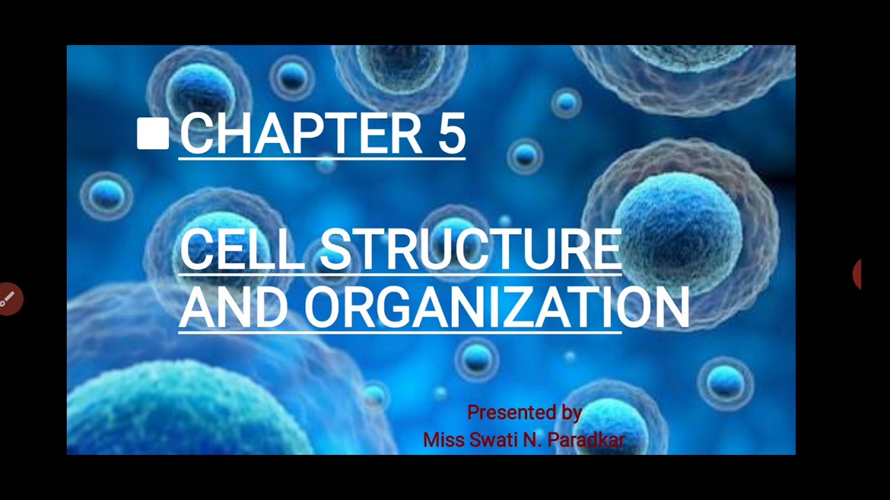 Microbodies : Glyoxysomes, Sphaerosomes, Peroxisomes | 11th Sci Biology ...