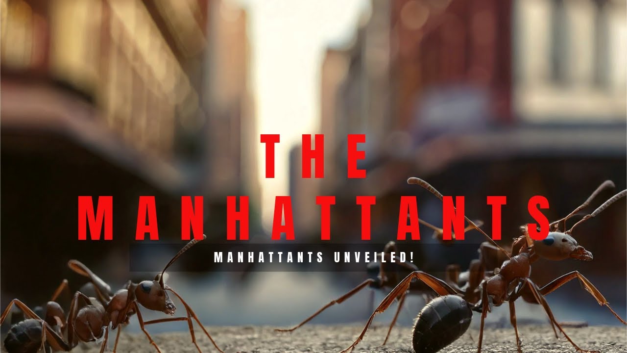 Meet the ManhattAnts: NYC's Unique Ant Species! - YouTube