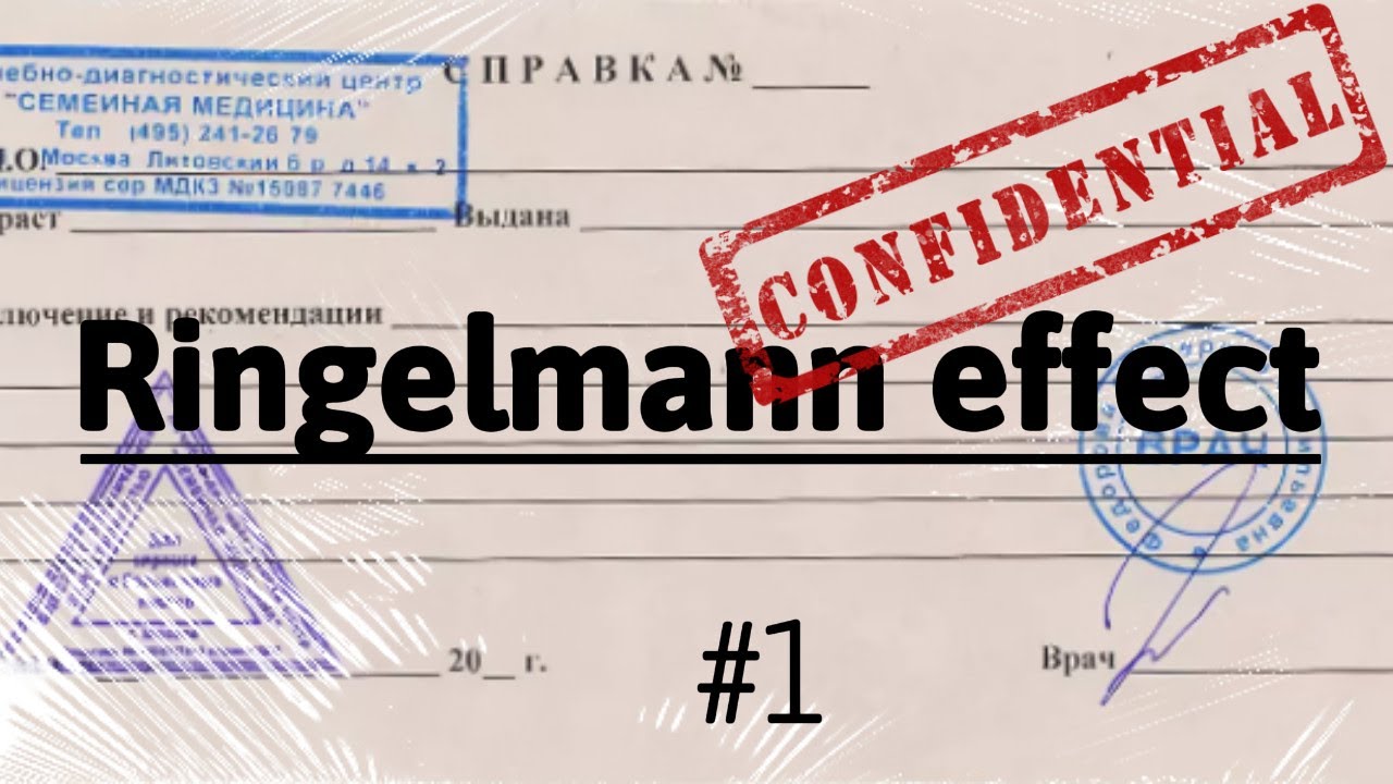 The Ringelmann effect 📉| Human phenomena - #1 - YouTube