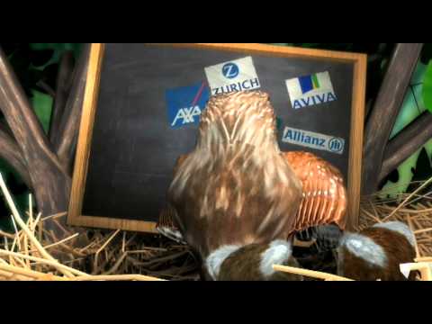 Be Wiser When Selecting Your Car Insurance - Be Wiser TV Advert ...