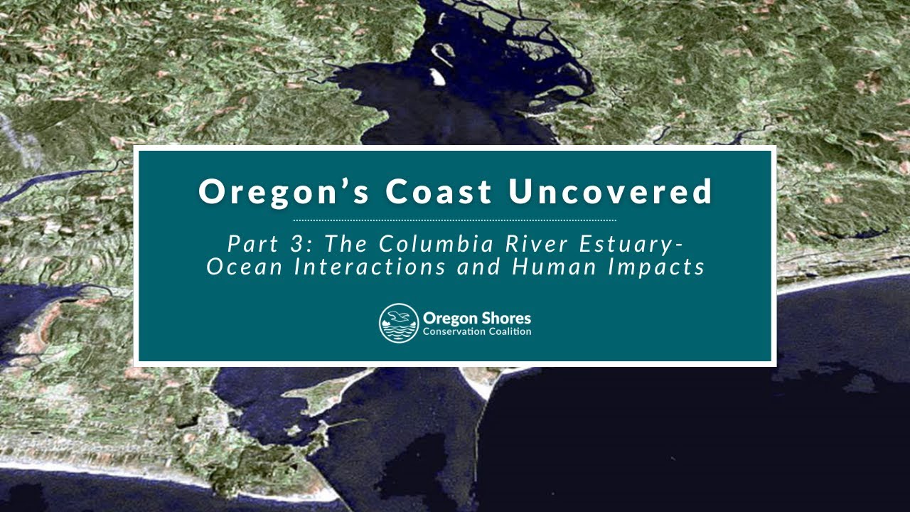 Oregon's Coast Uncovered Part 3: The Columbia River Estuary-- Ocean ...