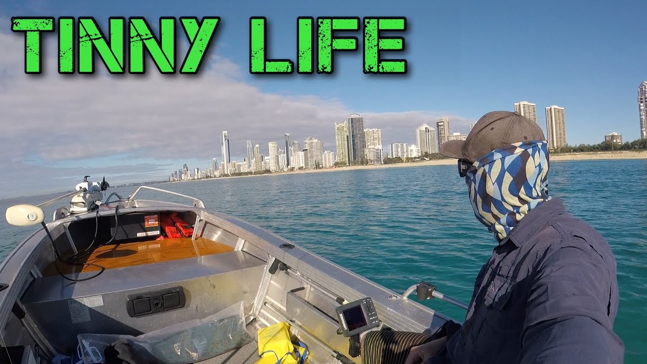 Tinny life is the best life - Tinny Fishing, Diving, catch and cook ...