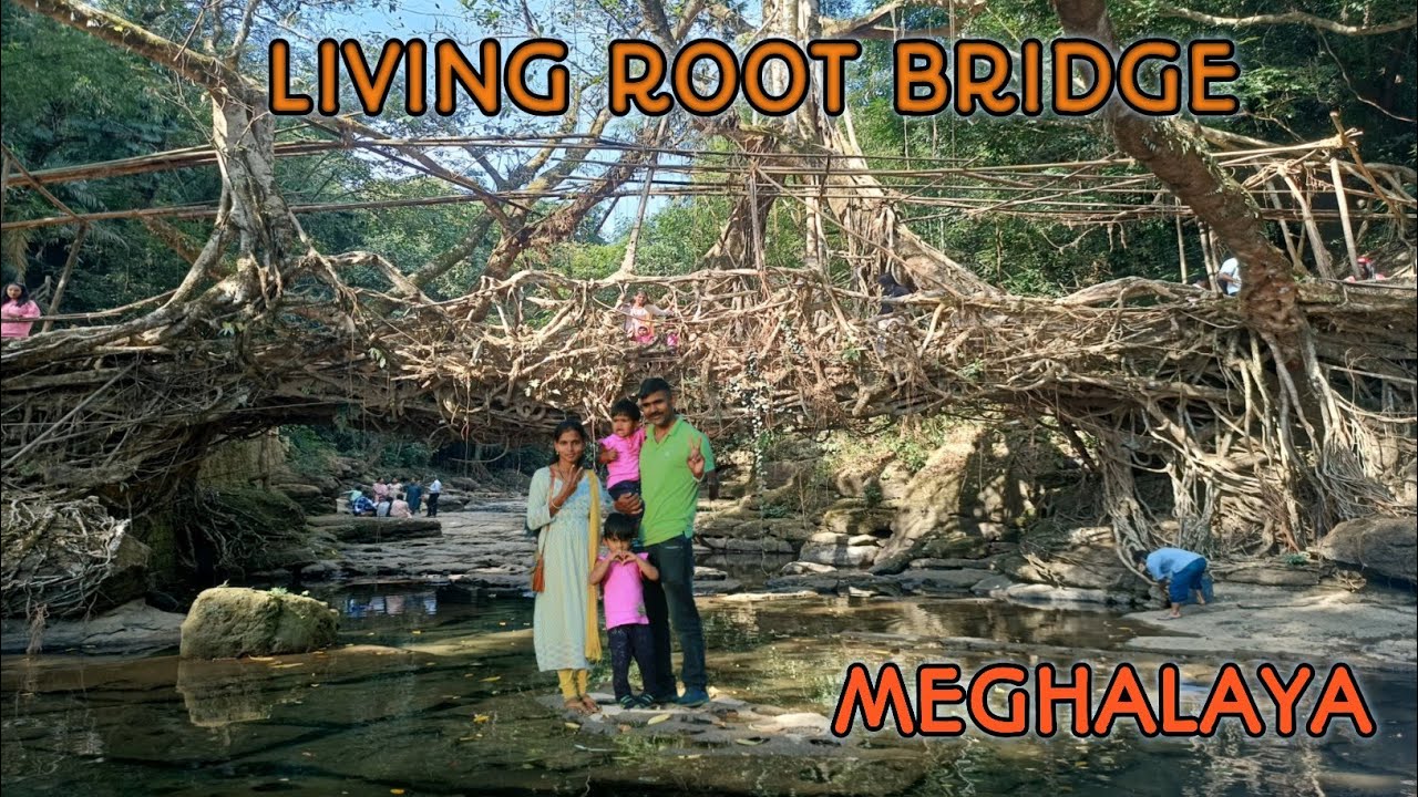 Single Decker Living Root Bridge || RIWAI VILLAGE || #meghalayatourism ...
