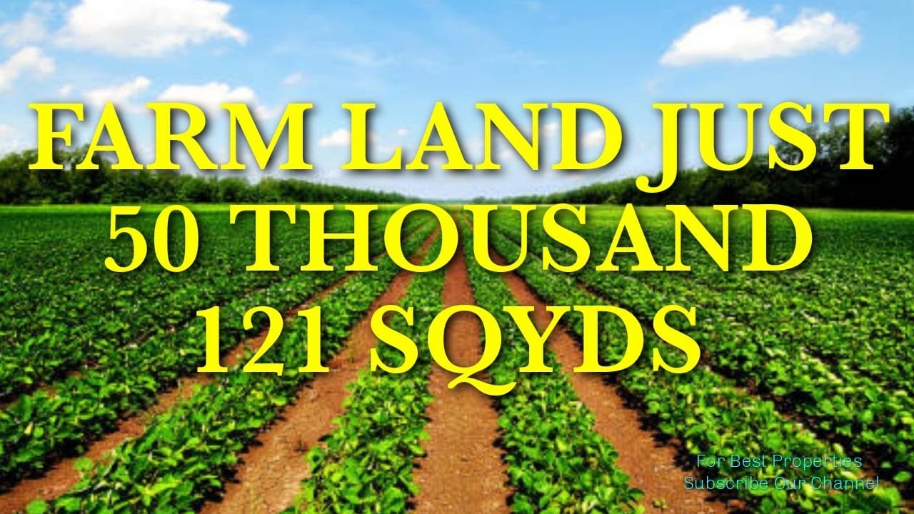 121 SQYDSJUST 50 THOUSAND ONLY 50000 YouTube 121 SQYDSJUST 50 THOUSAND ONLY 50000 YouTube