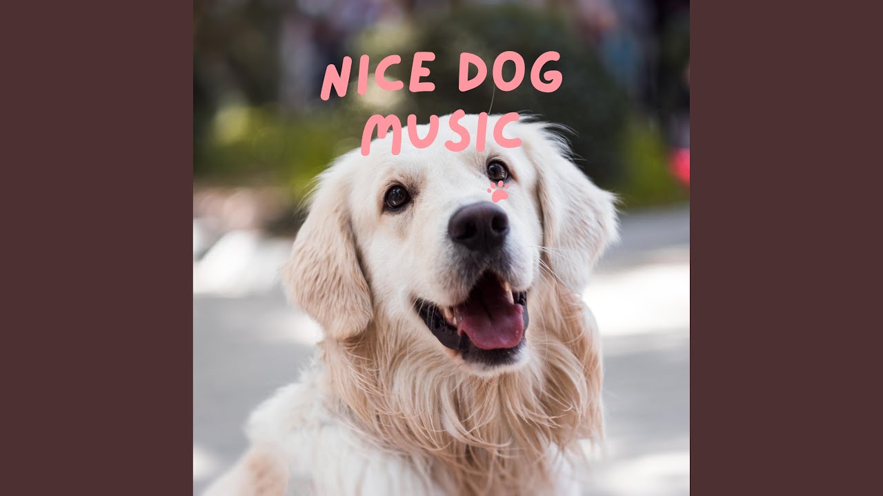 Dog Vibe - YouTube Music