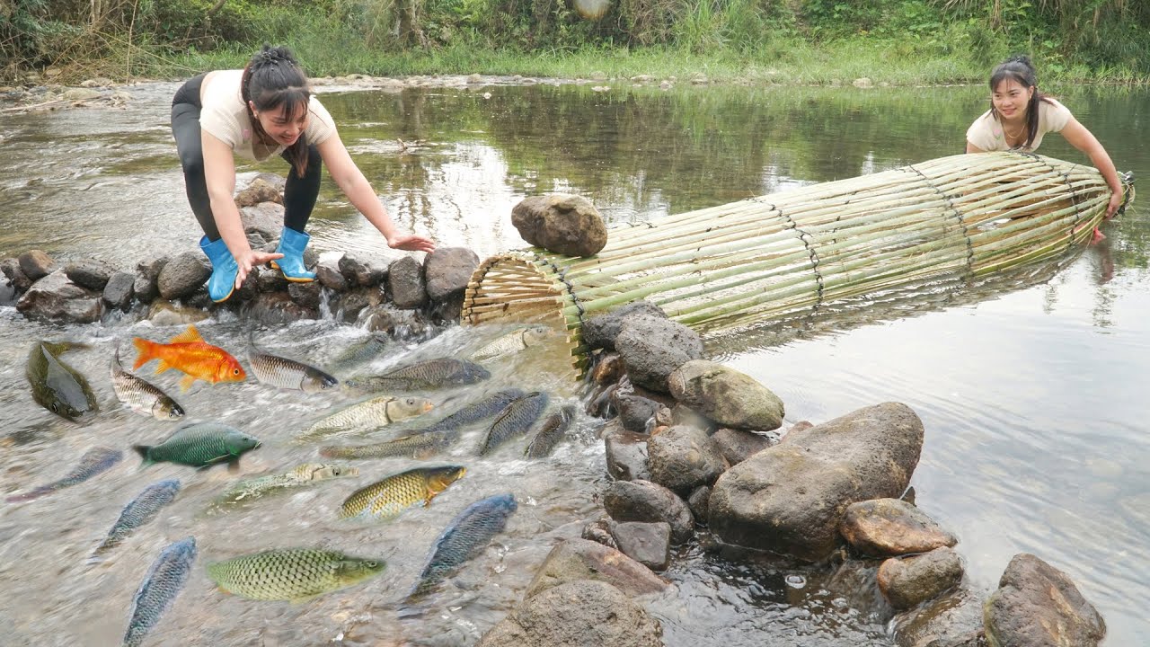 How to Make Simple Fish Trap From Bamboo, The SECRET to FISHING TRAPS ...