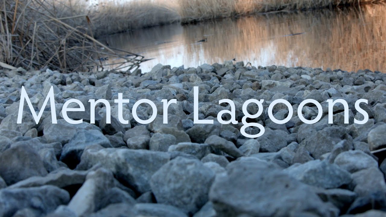 Mentor Lagoons - YouTube