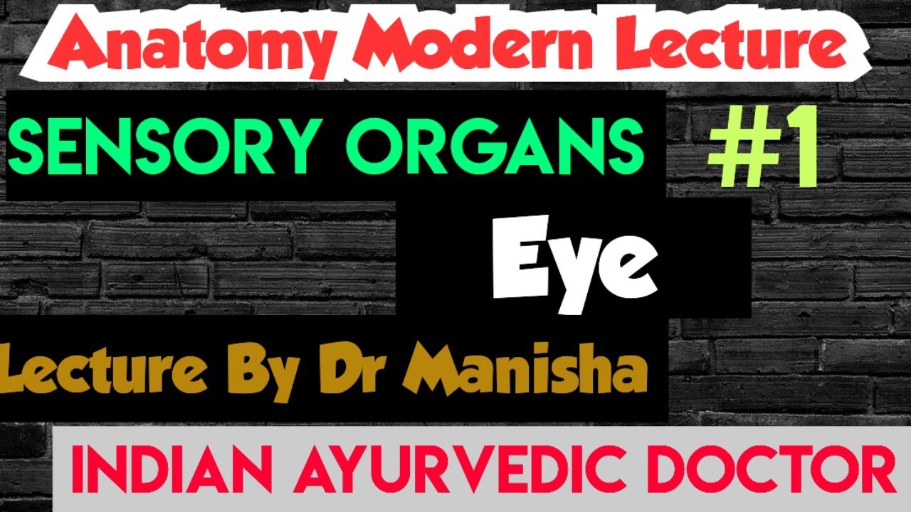 Sensory organs Description of structures of eye There Clinical Aspects ...