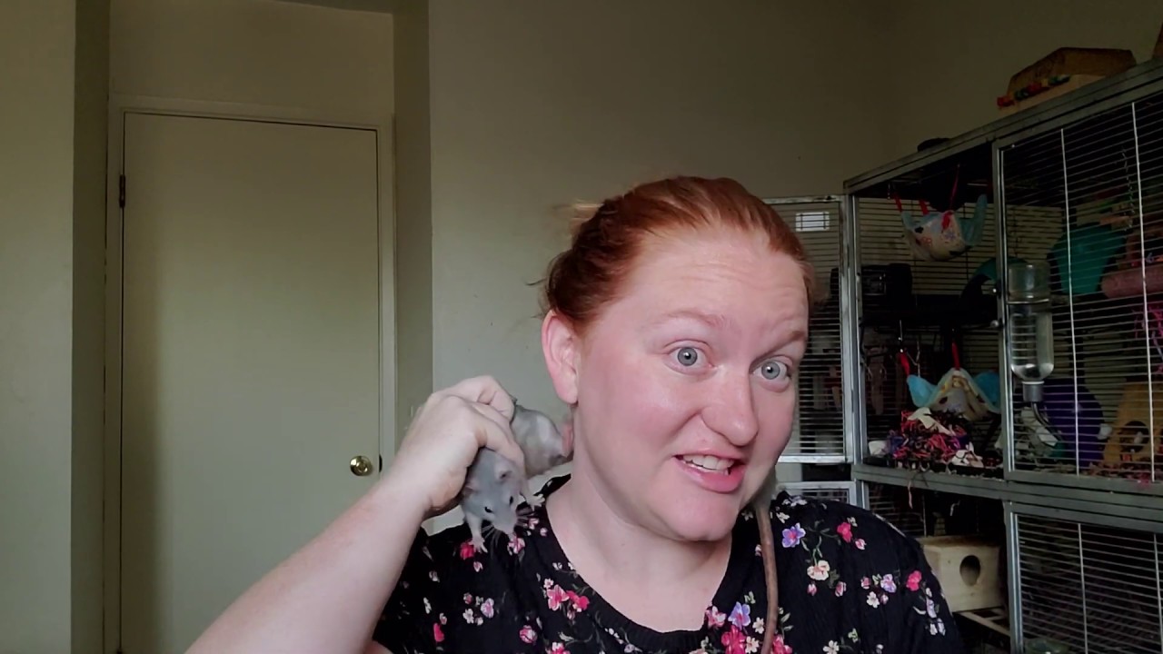 2019 November Feathered Fun Box - YouTube