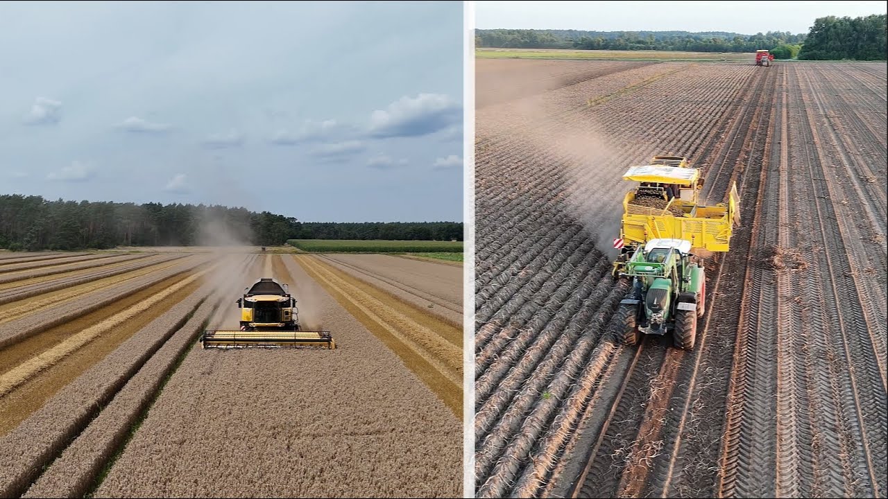 Die Highlights aus meiner Kartoffel, Getreide und Raps Ernte | Hobby ...