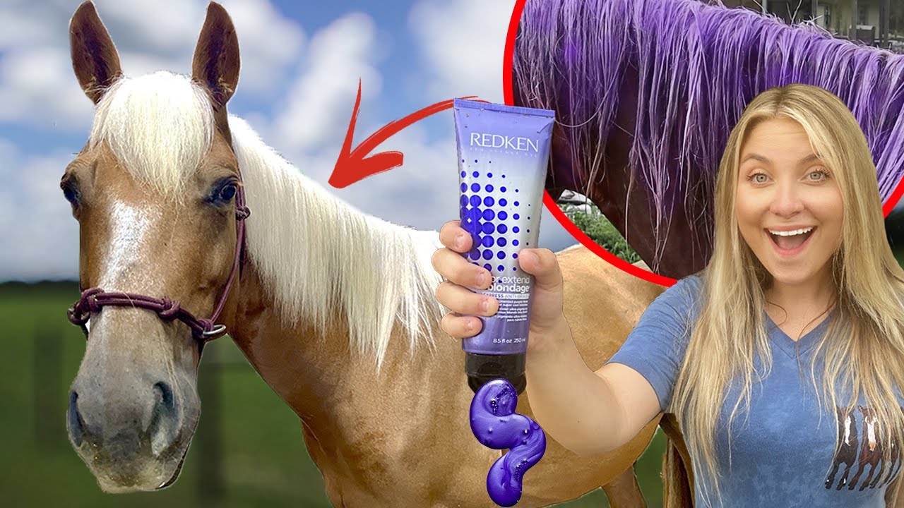 GIVING MY NEW HORSE A MAKEOVER *SATISFYING* - YouTube