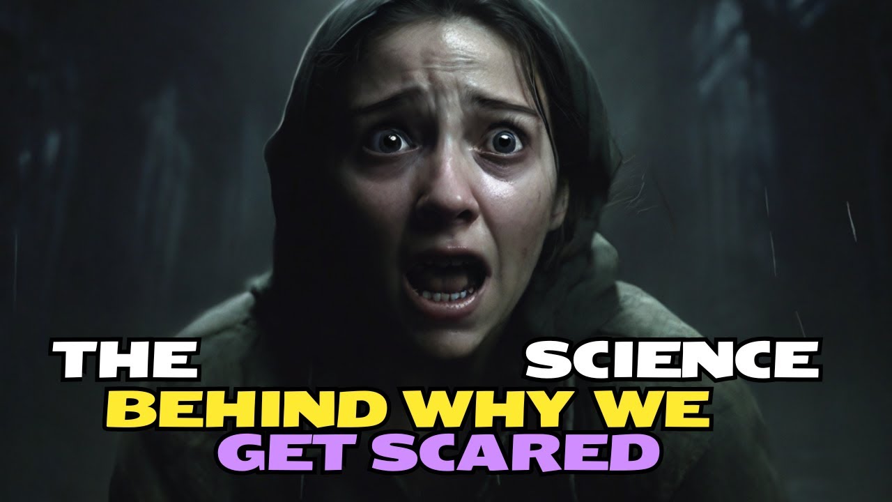 The Science Behind Why We Get Scared - YouTube