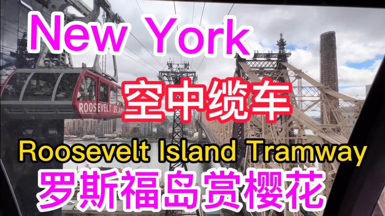 纽约乘坐空中缆车 游罗斯福岛 赏最美樱花 Youtube