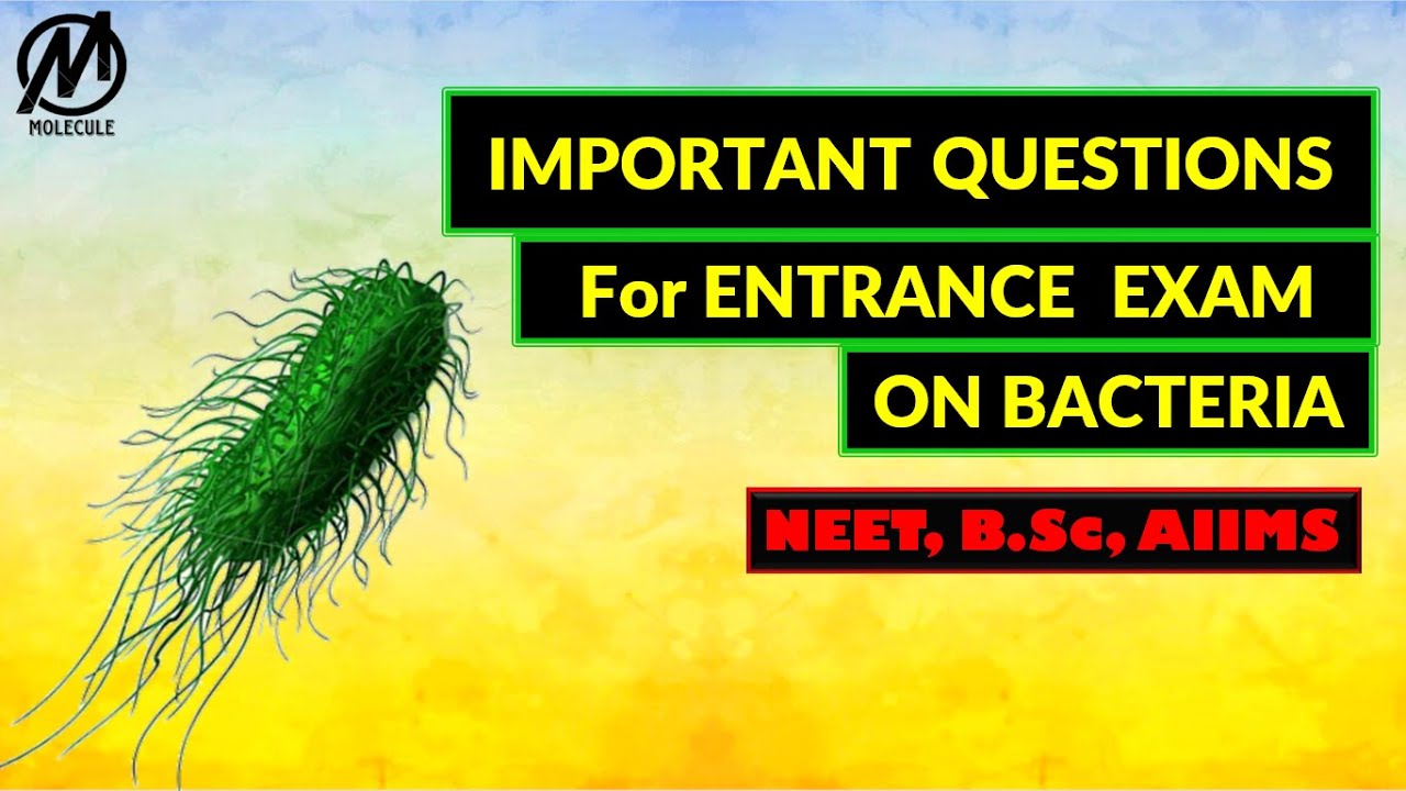 Bacteria- MCQ Questions || Important Questions for M.Sc Botany Entrance ...