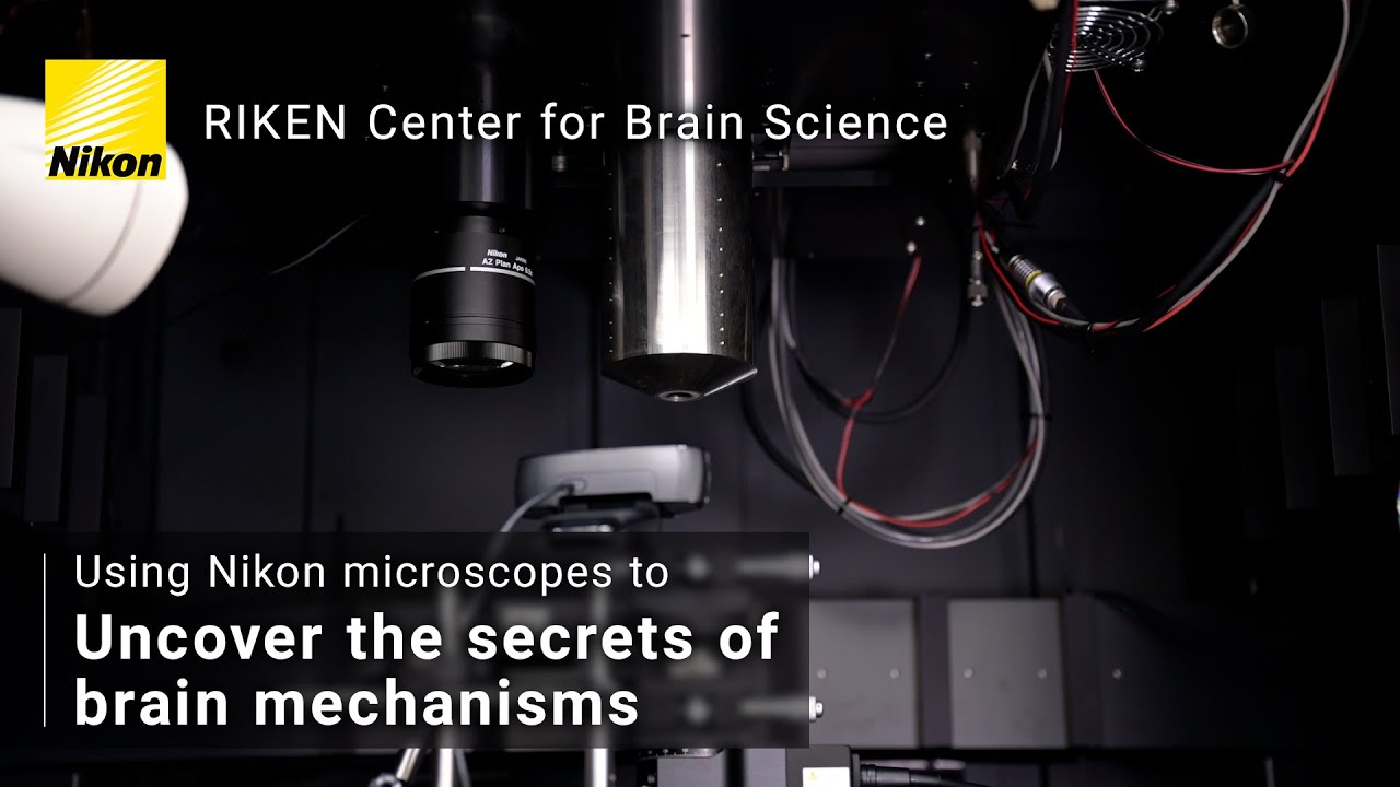 Nikon_Well Being_Uncovering the secrets of brain mechanisms(RIKEN ...
