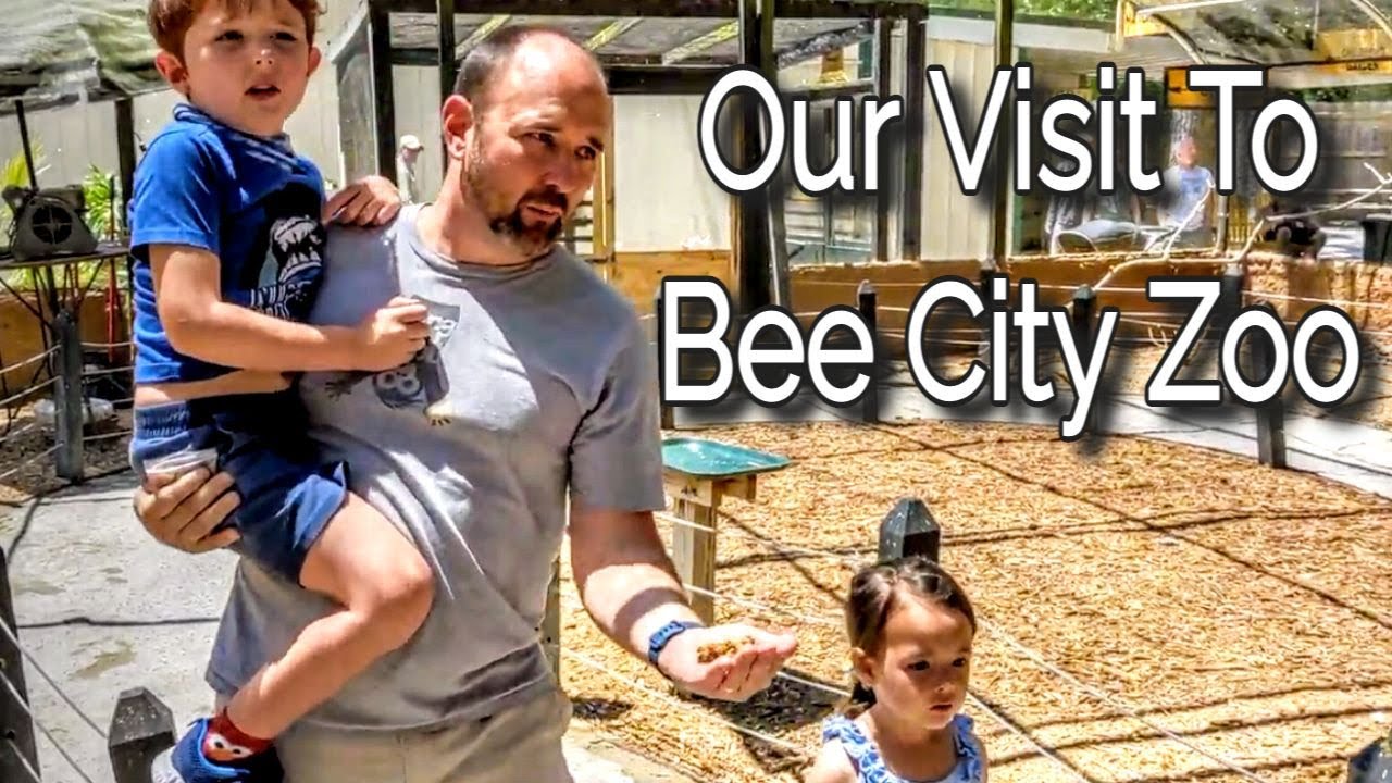 Bee City Zoo Visit 2021 - YouTube