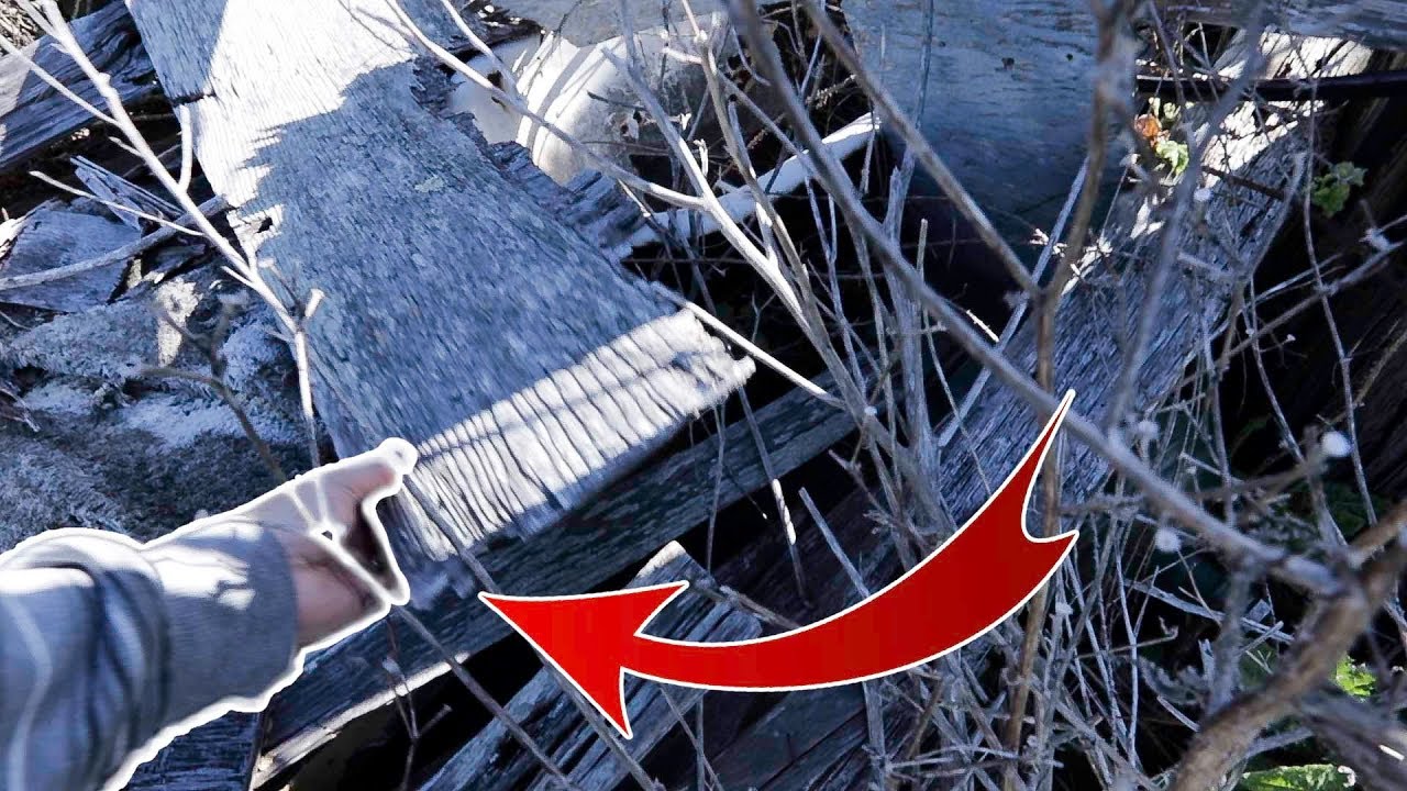 We turned Over a Log and What we saw next... SHOCKED US! - YouTube