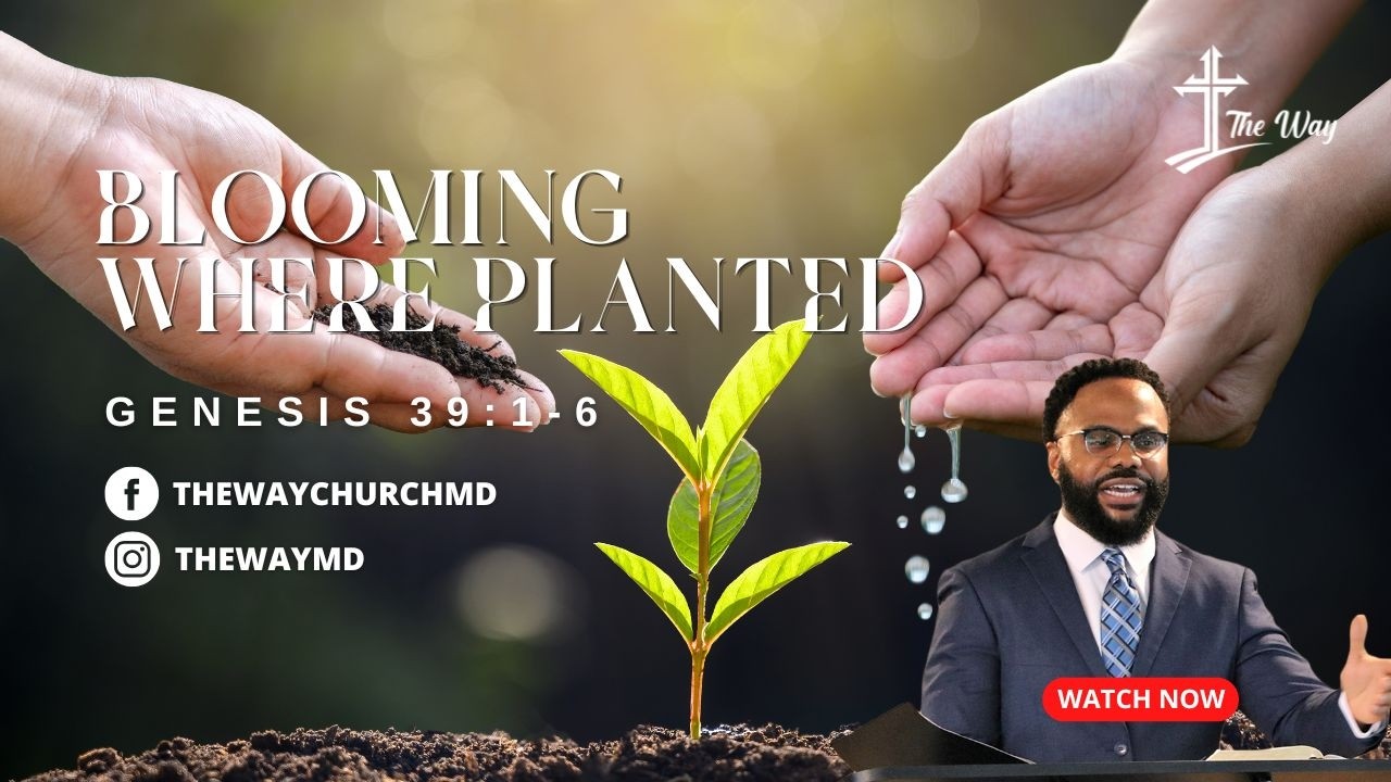 Gods placment of Joesph - YouTube