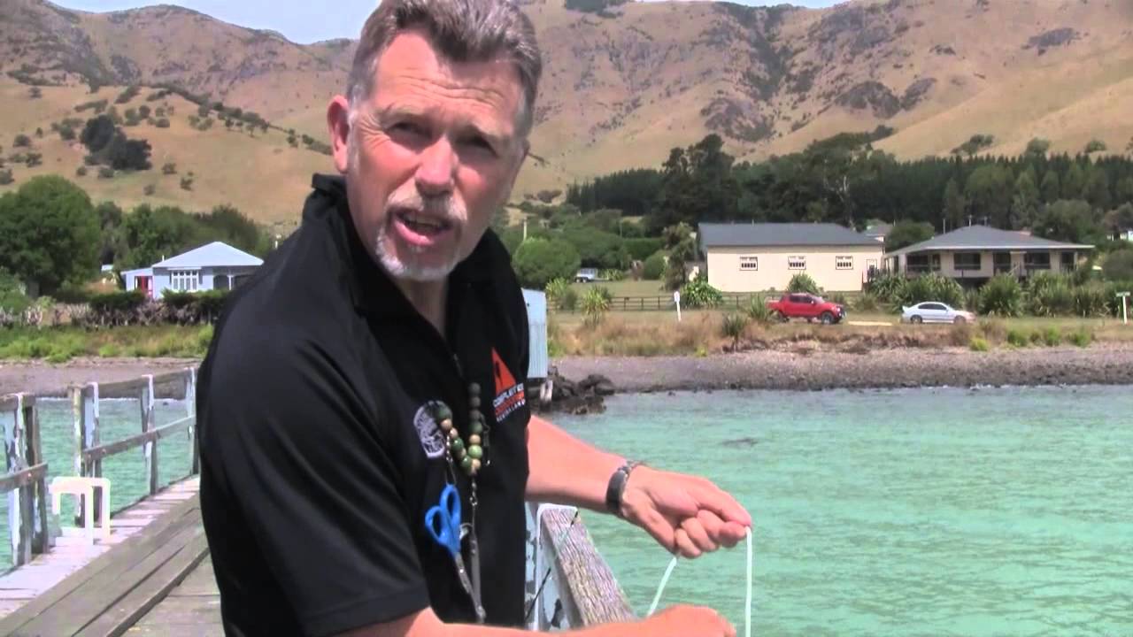 How to Get Your Kids Catching Fish Wharf Fishing - YouTube