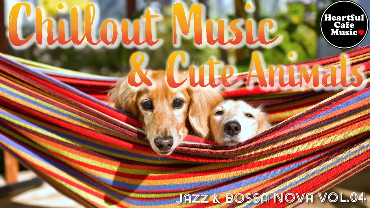 Chillout Music & Cute Animals Jazz & BossaNova Vol.4【For Work / Study ...