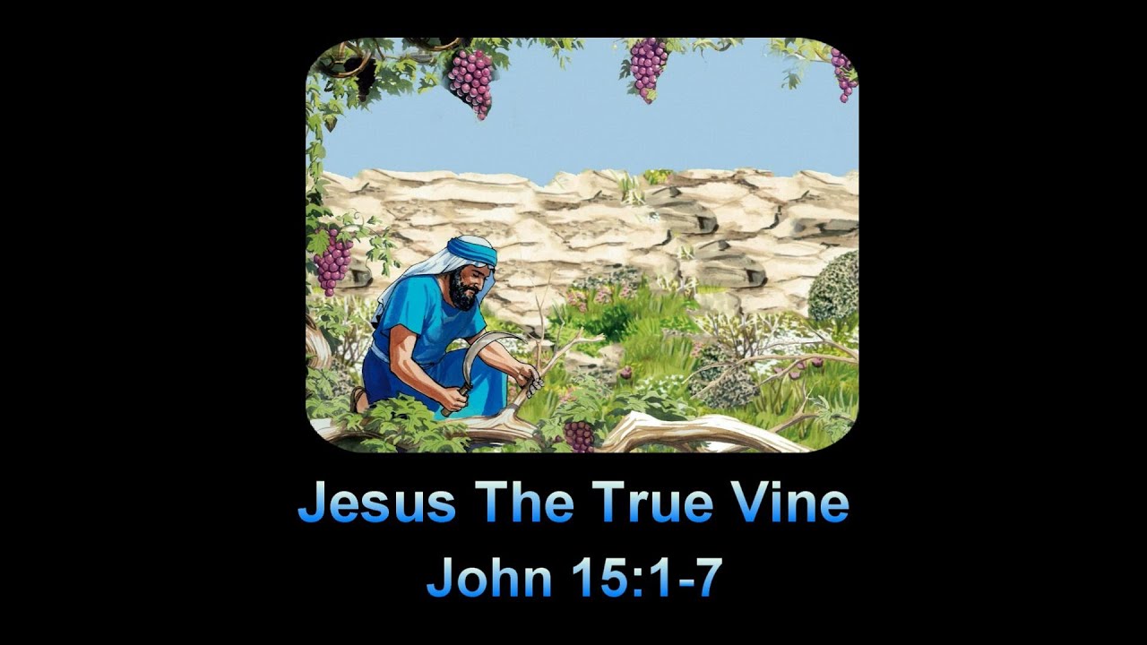 Jesus The True Vine (John 15:1-7) - YouTube