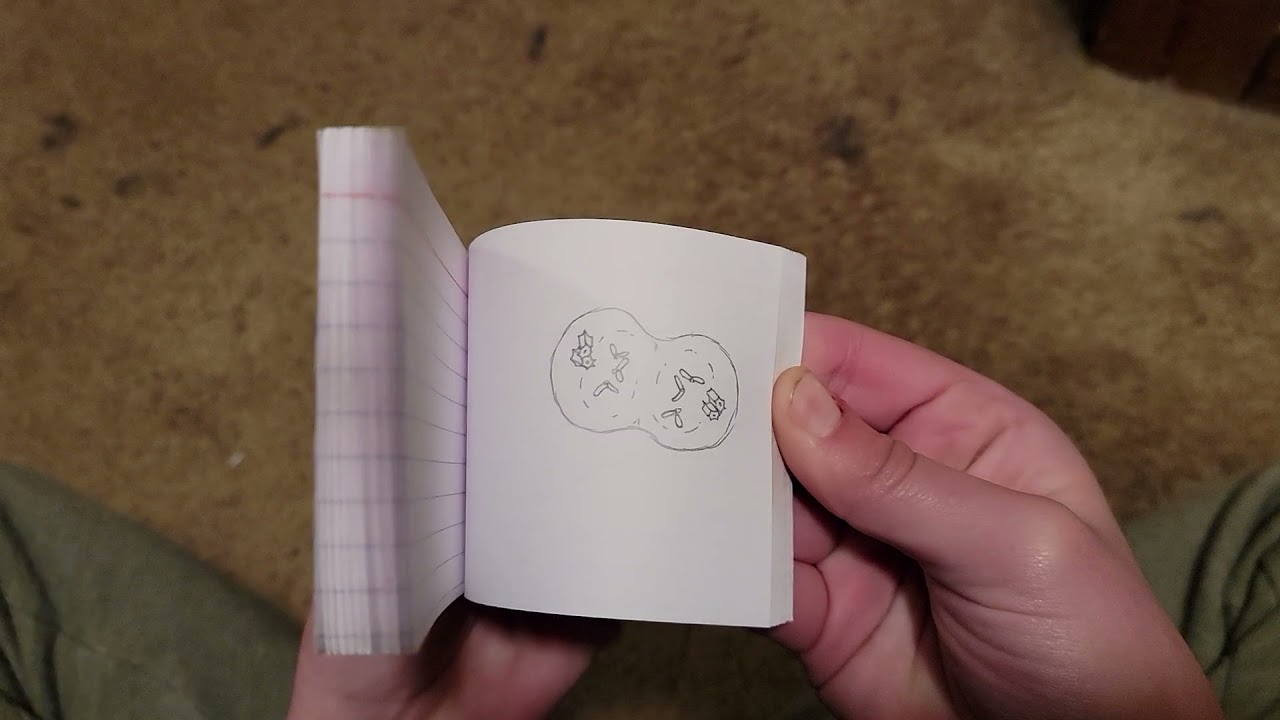 Flip book Mitosis - 12/8/21 - YouTube