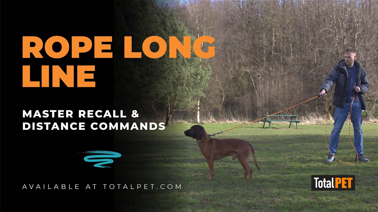 Long Line Dog Training Lead for Recall & Distance Commands by Total Pet ...