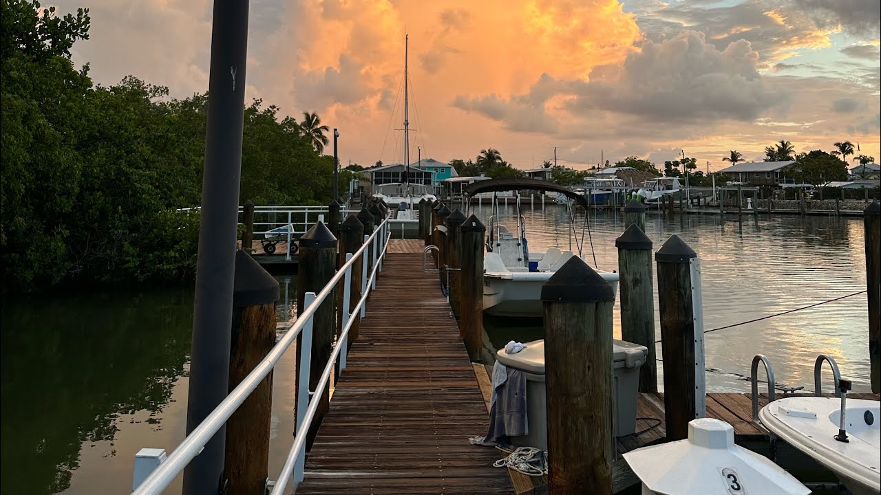 Guided Shell Tour to Kice Island Shelltastic Finds! - YouTube